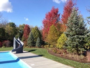 Large tree planting - Tree Transplanting Illinois | Big Tree Sales ...